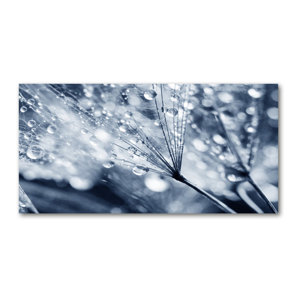 Brayden Studio Löwenzahnsamen - Kunstdrucke auf Leinwand - Wrapped Canvas | Wayfair.de